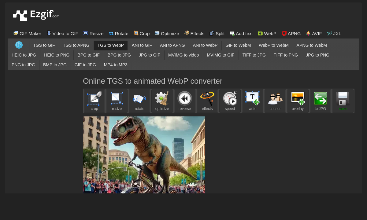 Online TGS to WebP converter